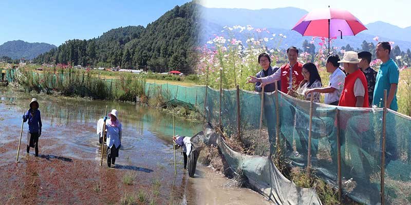 Arunachal: 3rd Edition of Live Hand Fishing Inaugurated at Ziro, Adds ...