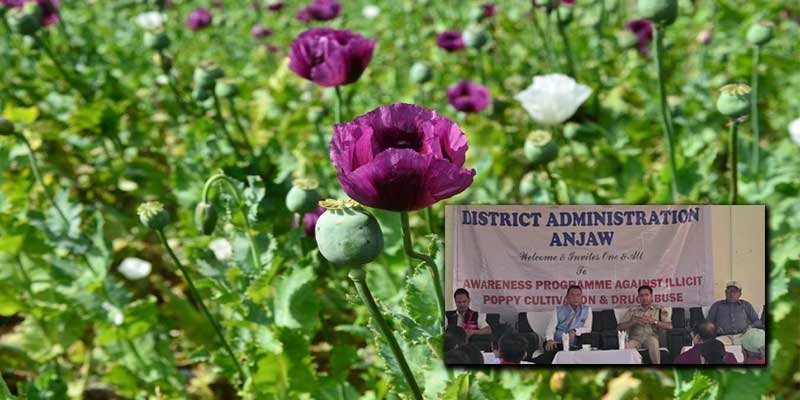 Arunachal: Anjaw district Unites Against Drug Abuse and Illicit Poppy ...